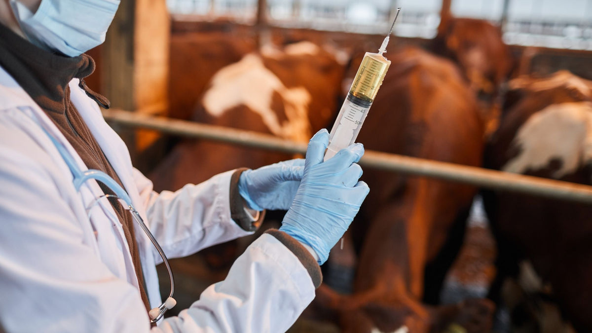 Livestock Vaccination Guideline – Steve Regan Company