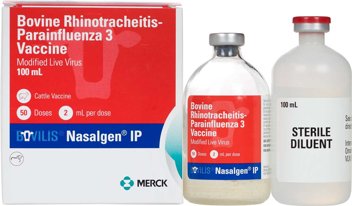 Merck - Bovilis Nasalgen lP - 50 dose – Steve Regan Company