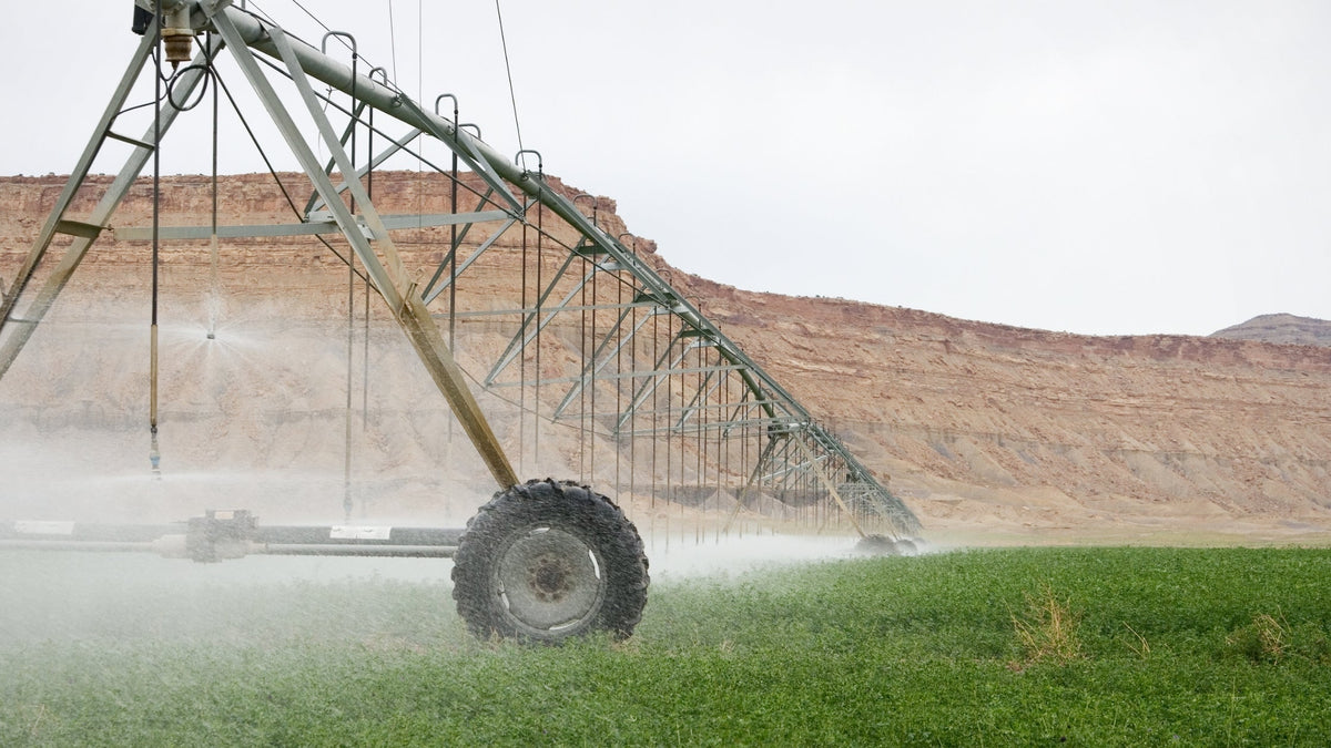 The Great Water Debate – Steve Regan Company