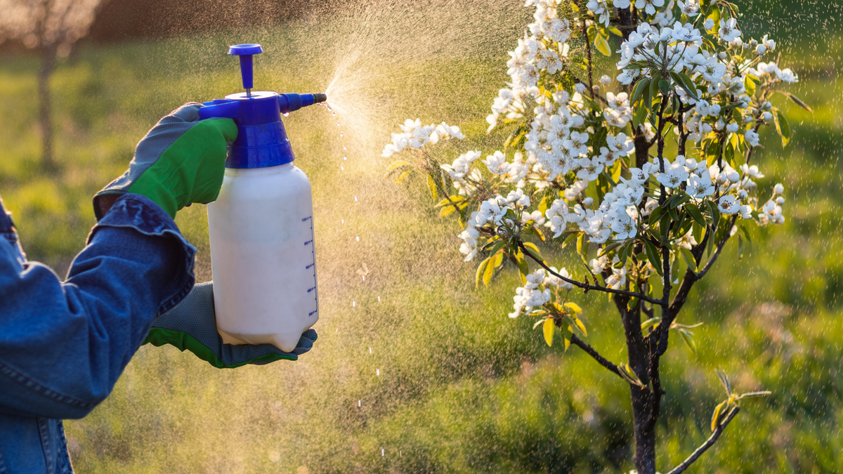 Herbicide Tips and Advice – Steve Regan Company