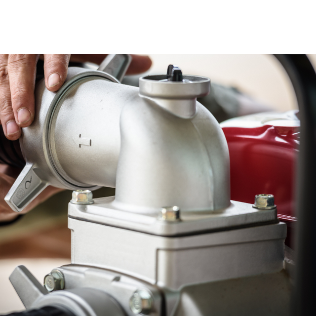 Collections – Steve Regan Company