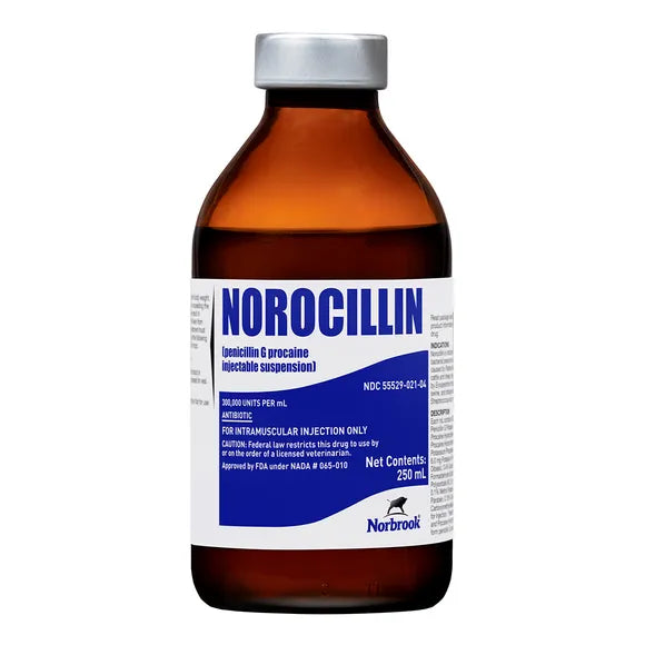 Norbrook - Norocillin Injection - 250 cc (Rx) – Steve Regan Company