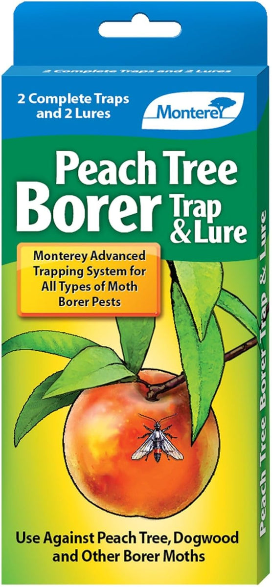 Monterey - Peach Tree Borer Trap and Lure - 2pk – Steve Regan Company