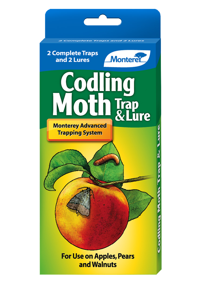 Monterey - Codling - Moth Trap & Lure - 2/pack – Steve Regan Company
