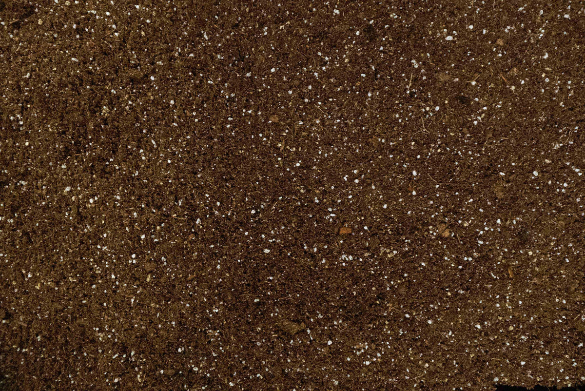 Lambert - LM-1 / LM-GPS New Germination Mix w/ Perlite - 3.8 cu. ft ...