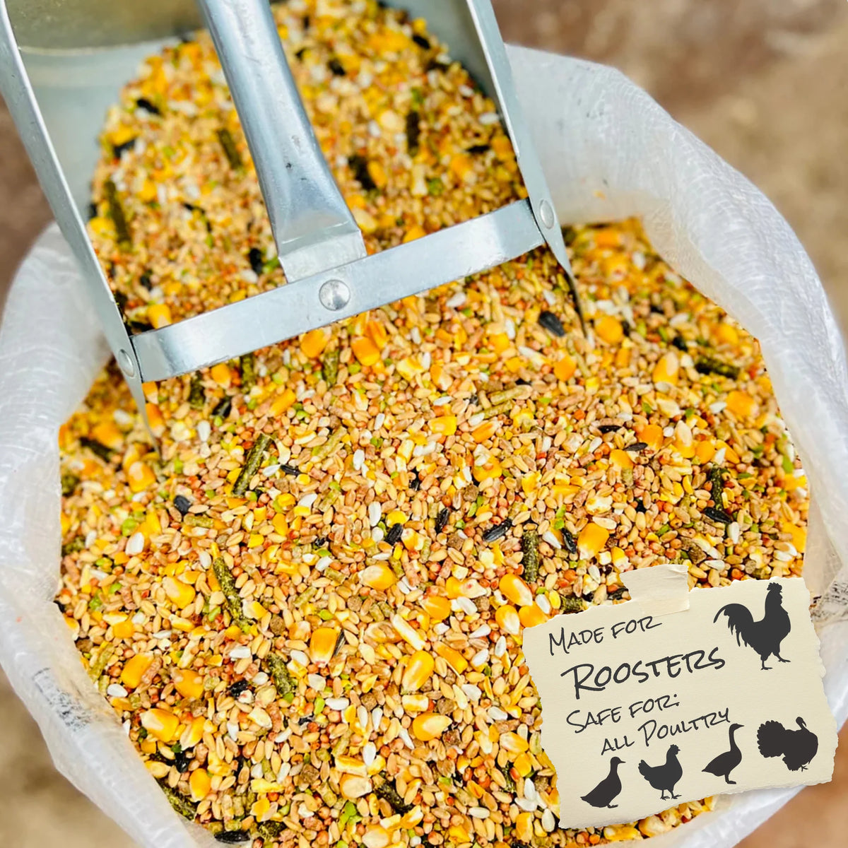 Rodeo Brand by Leland Mills - Rooster Mix - 50 lb. – Steve Regan Company