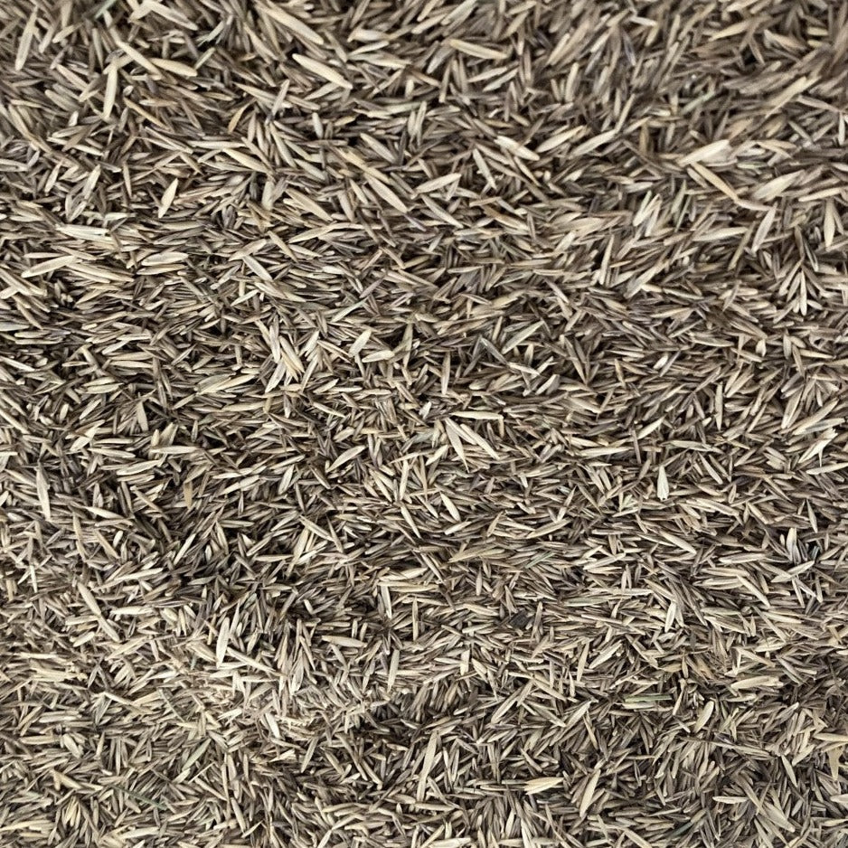 MOUNTAIN MIX - 1 LB – Steve Regan Company