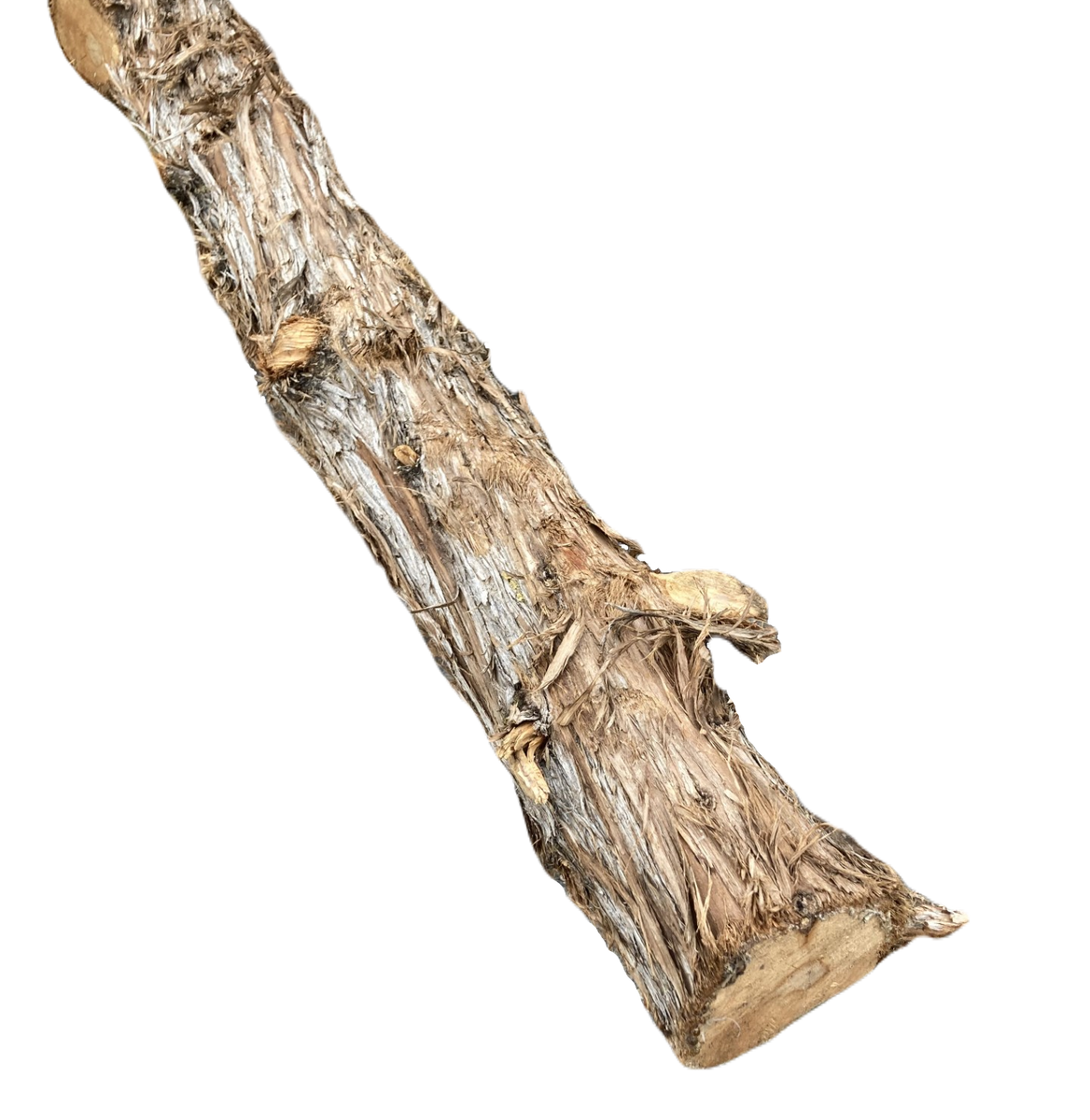 Cedar Post - 8' – Steve Regan Company