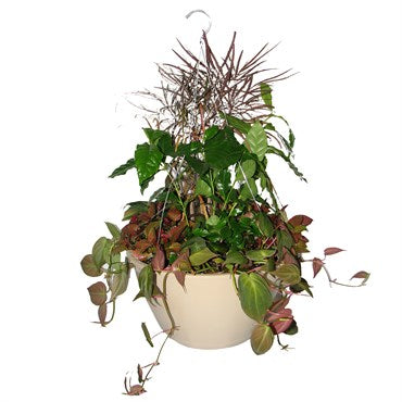 Belden - #690817 - 14" Mocha Hanging Basket With Wire Hangers - 25/Cas ...