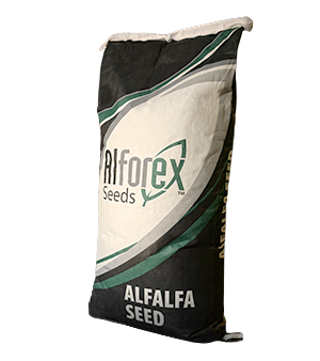 ALFALFA, ALFOREX RUGGED - 1 LB PRICE – Steve Regan Company