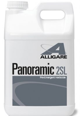 Alligare - Panoramic - 1 gal – Steve Regan Company
