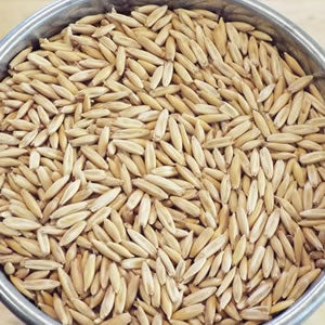 Whole Oats - Triple Cleaned and Clipped Oat - 50 lb (44 pallet) – Steve ...