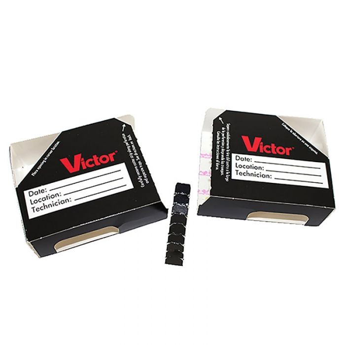 Victor - Roach Pheramone Trap - 2/pack – Steve Regan Company