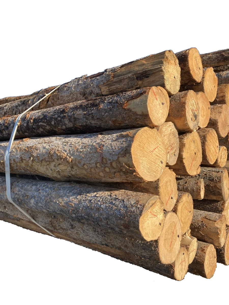 Lodge Pole - 16' - 4-5" – Steve Regan Company